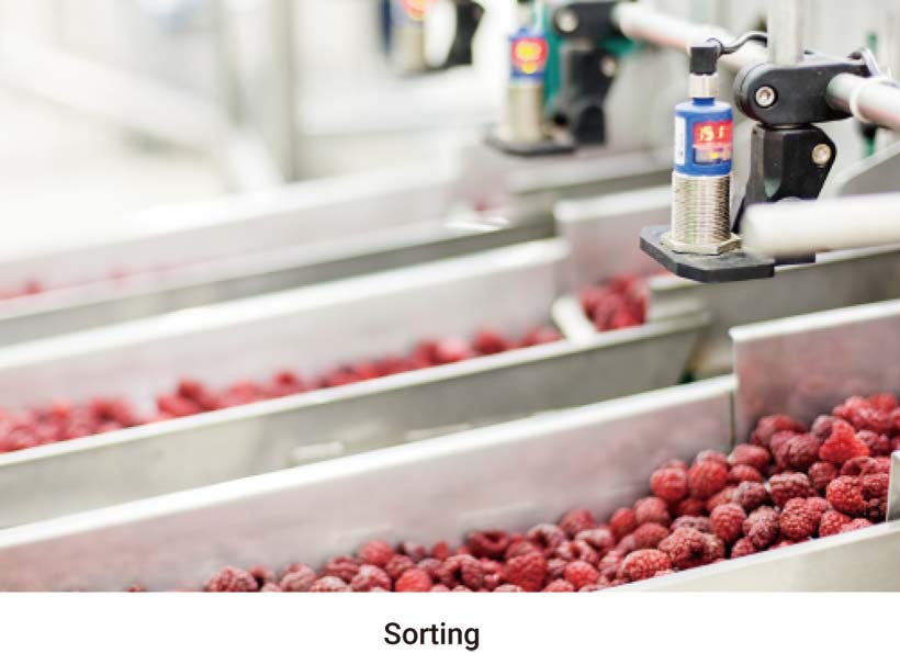 Automated Fruit Classification Utilizing Neousys Embedded System With Machine Learning Neousys 7886
